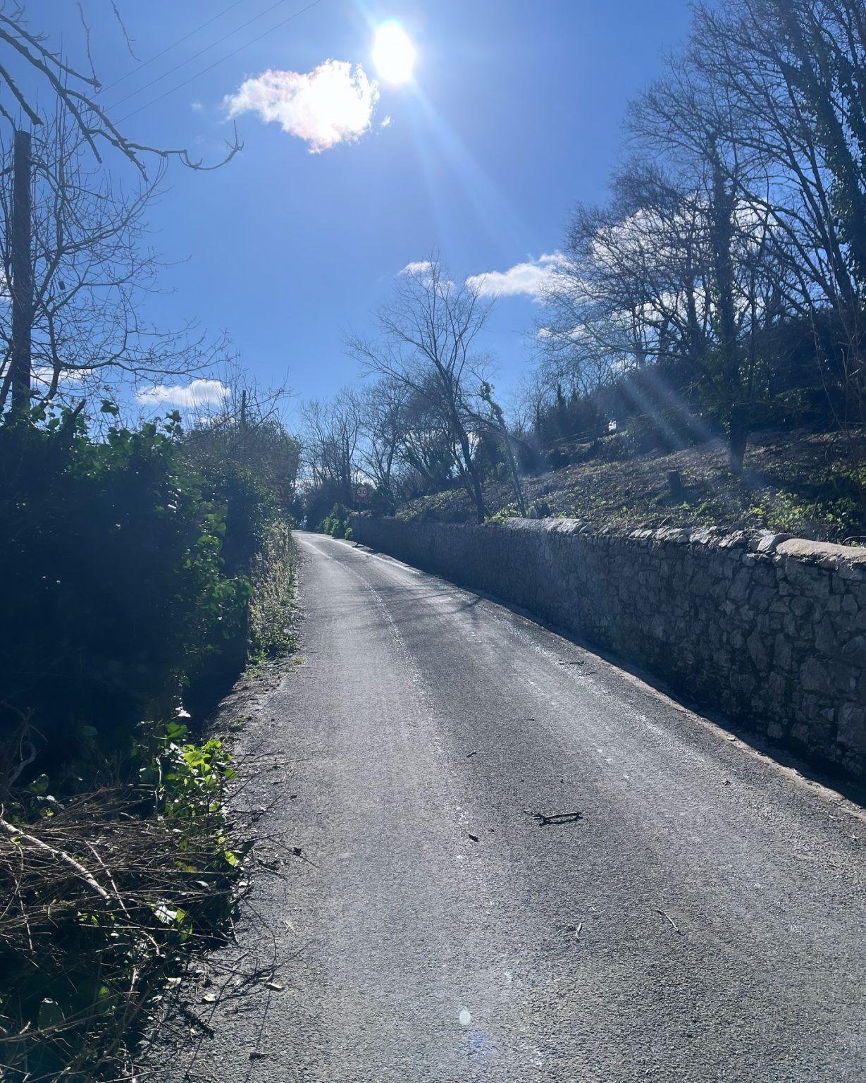 The Mulberry Rooms | Treatment Rooms South Devon